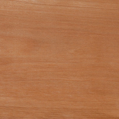 Woodsense: Spotlight on Birch | Woodcraft