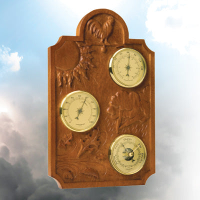 Hand-Carved Weather Station | Woodcraft