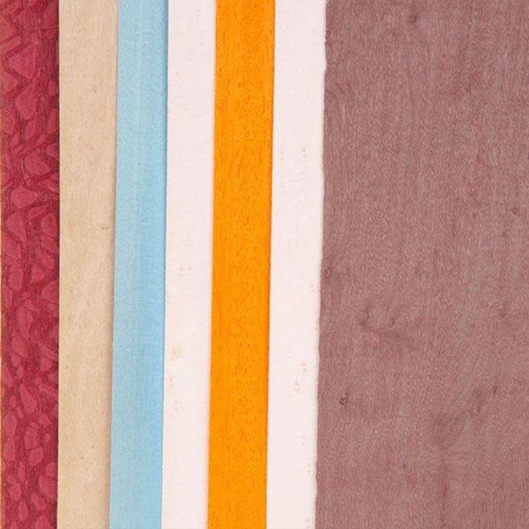 Sauers Wood ID Kit and Veneer Sample Pack - 4" x 9" - 25 Piece | Woodcraft