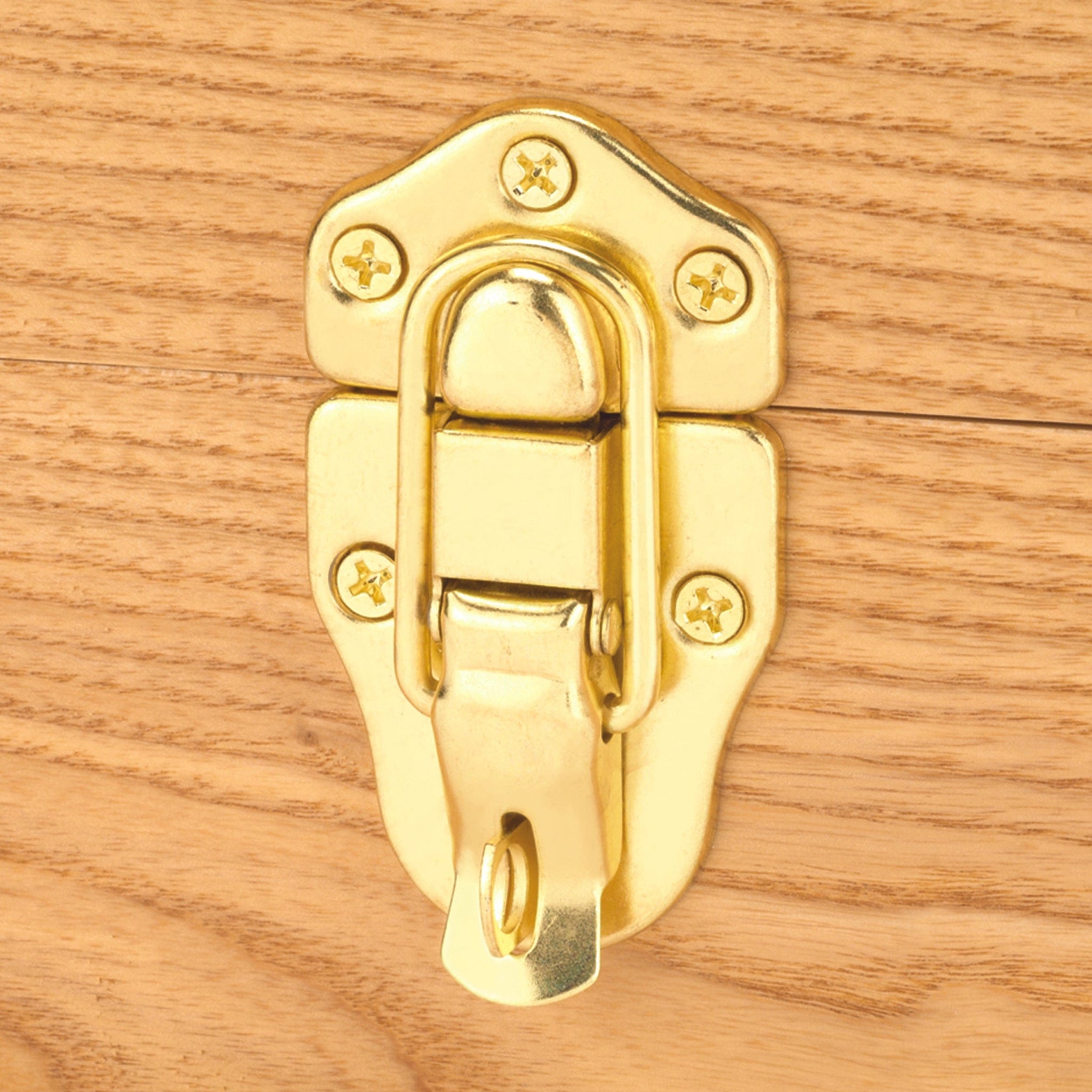 National Lockable Draw Catch Brass Finish | Woodcraft