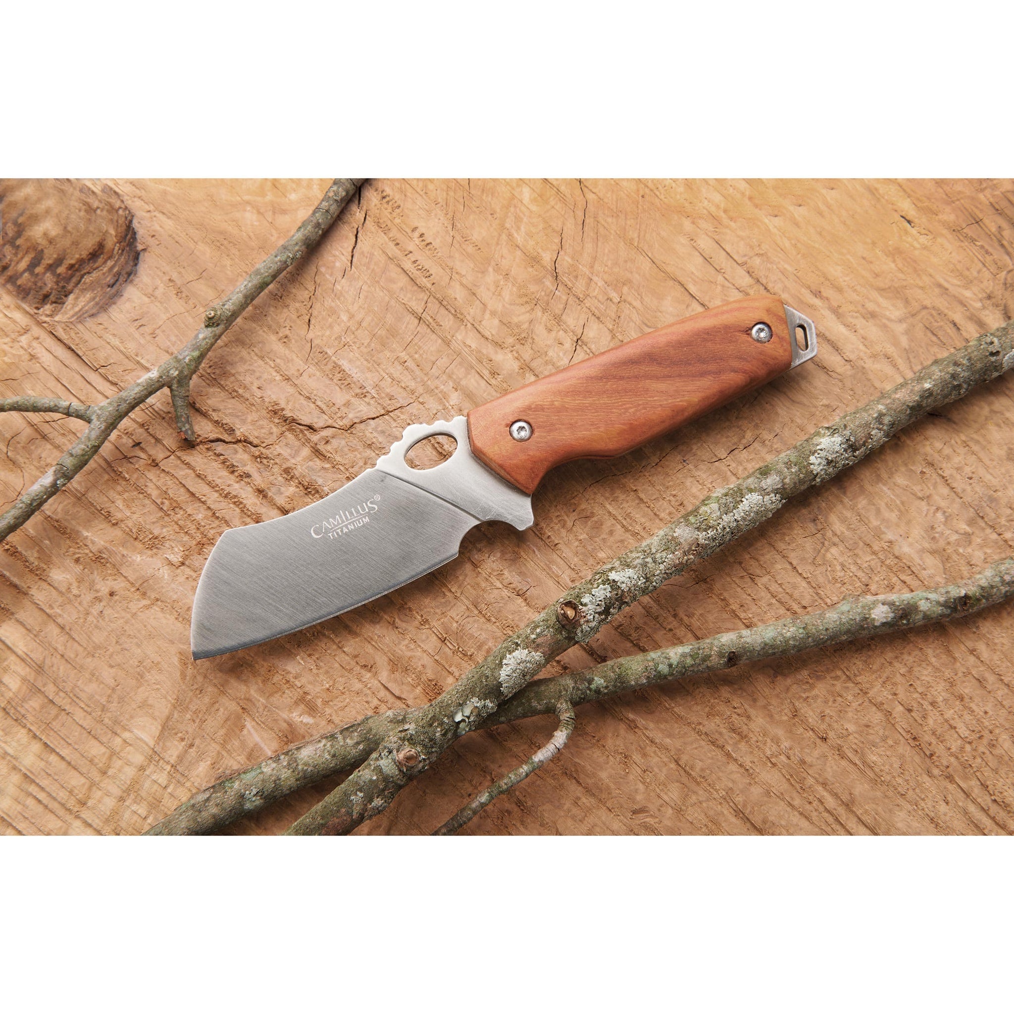 Camillus - Rize Fixed Blade Knife for Hunting and Fishing - 7-3/16 ...