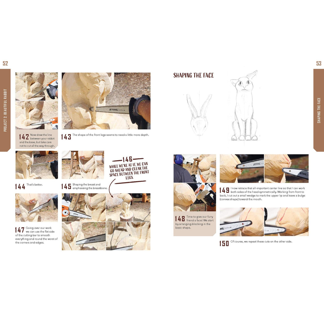 Chainsaw Carving for Beginnners | Woodcraft