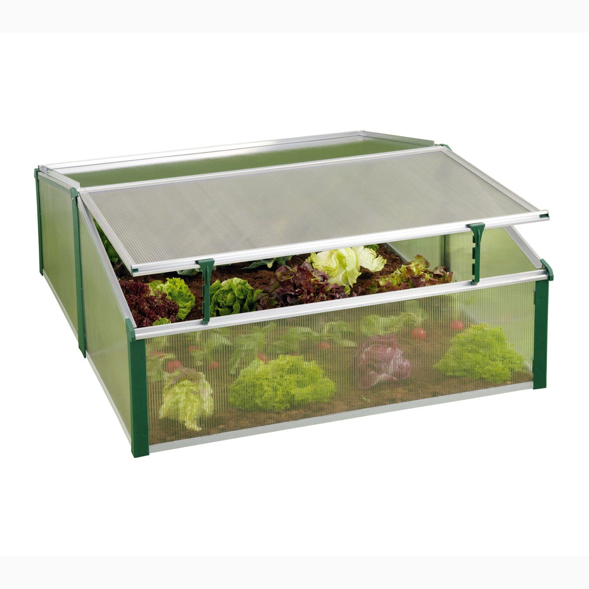 Easy Fix Double Cold Frame | Woodcraft