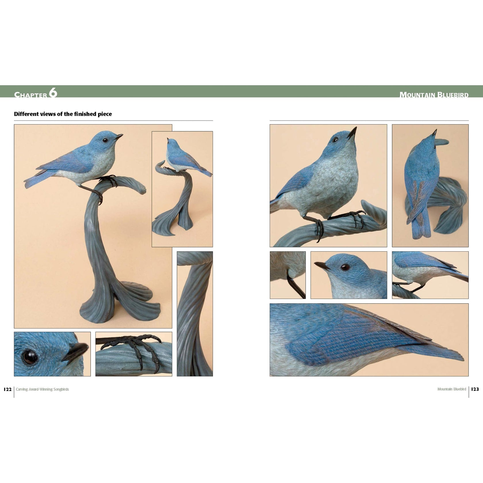 Buy Carving Award-Winning Songbirds at Woodcraft