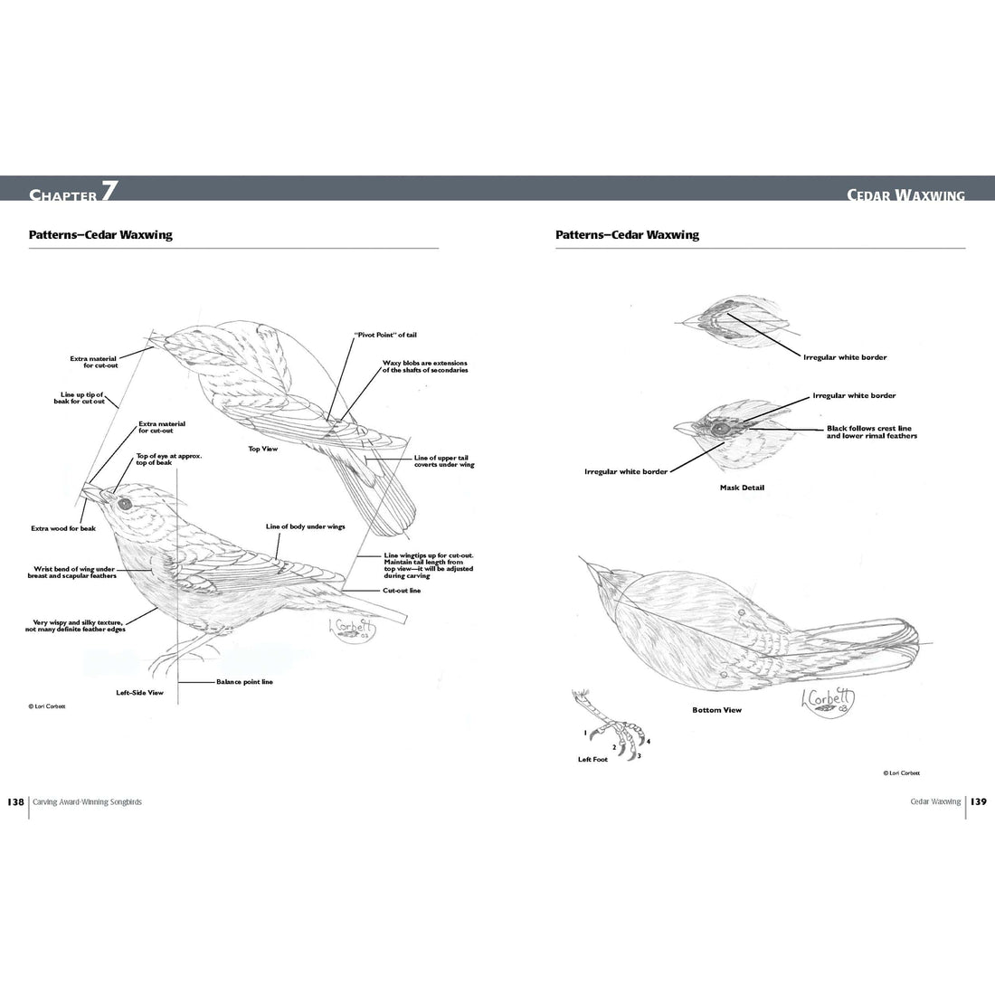 Buy Carving Award-Winning Songbirds at Woodcraft