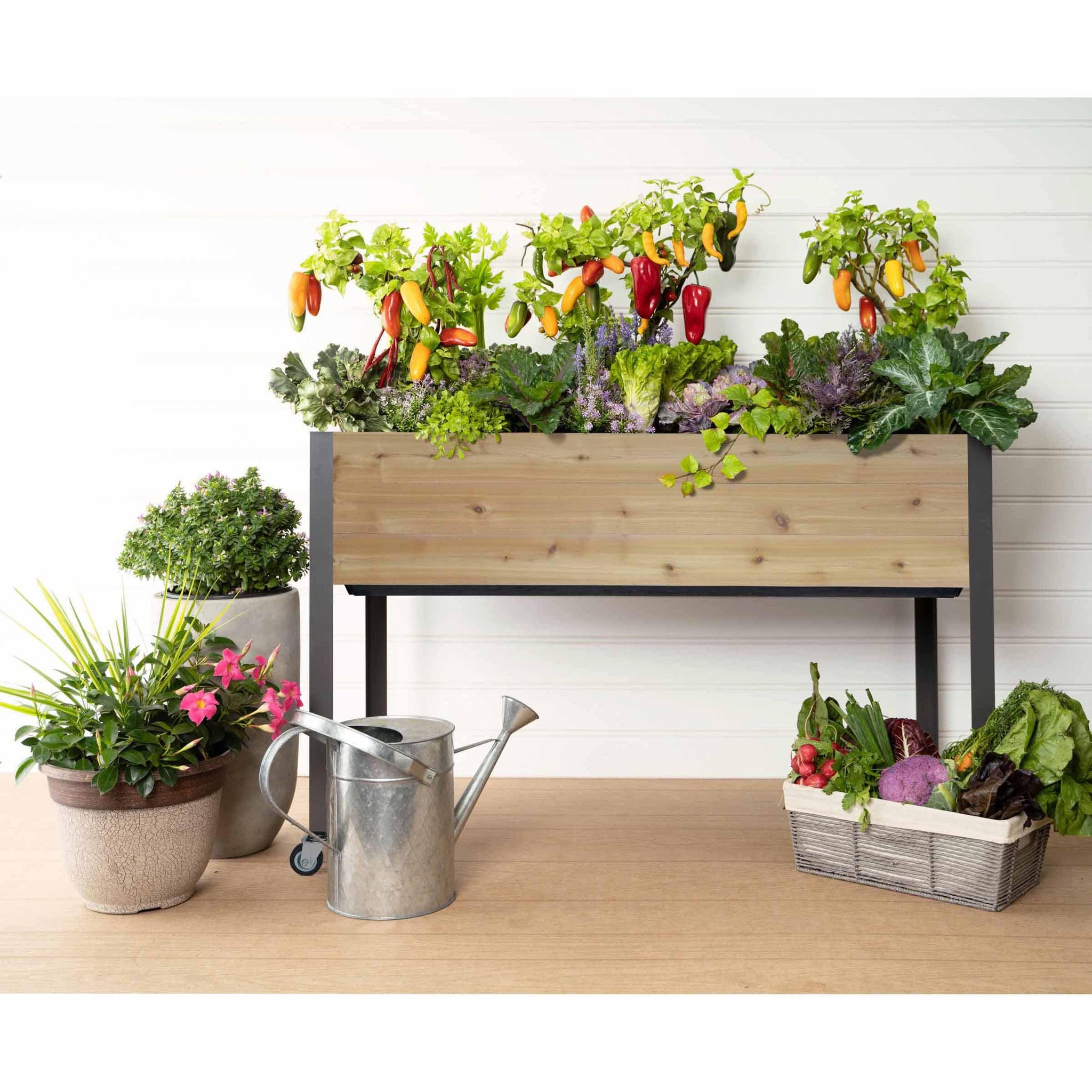Inspiring Cedarcraft Self Watering Planter Photos