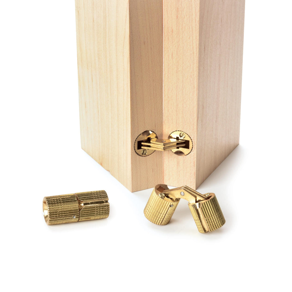 HIGHPOINT Miniature Barrel Hinge 5 mm 10 Pack Concealed Brass Hinges ...